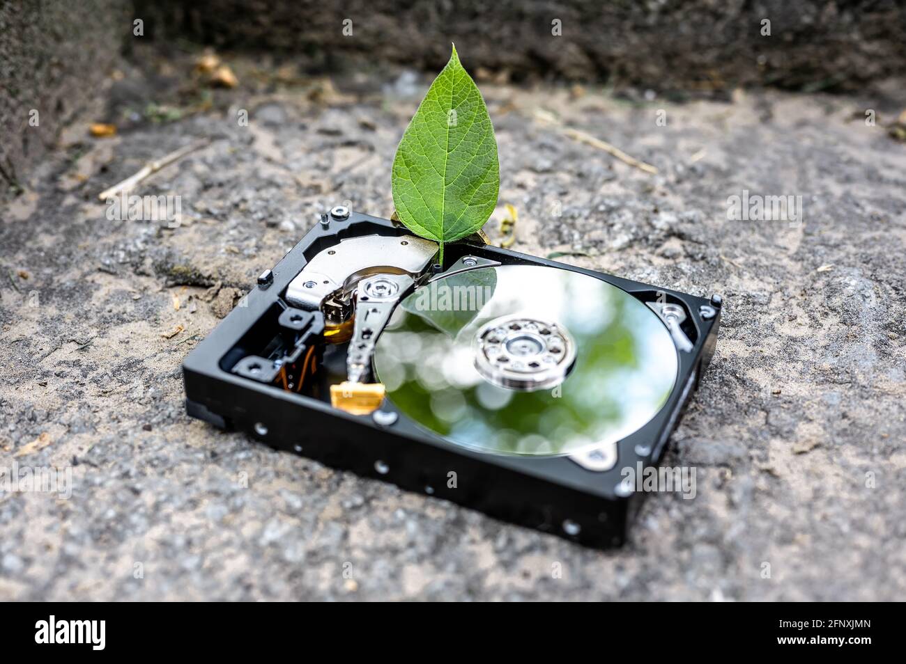 Cryptocurrency chia hard disk hi-res stock photography and images - Alamy