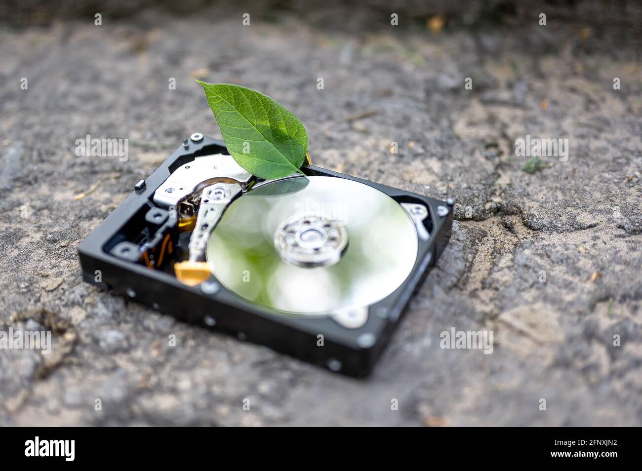 Cryptocurrency chia hard disk hi-res stock photography and images - Alamy