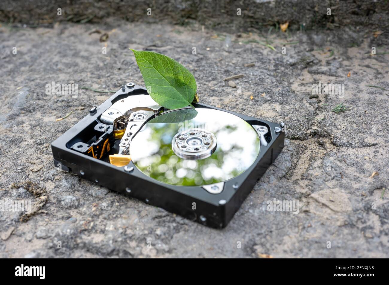 Cryptocurrency chia hard disk hi-res stock photography and images - Alamy