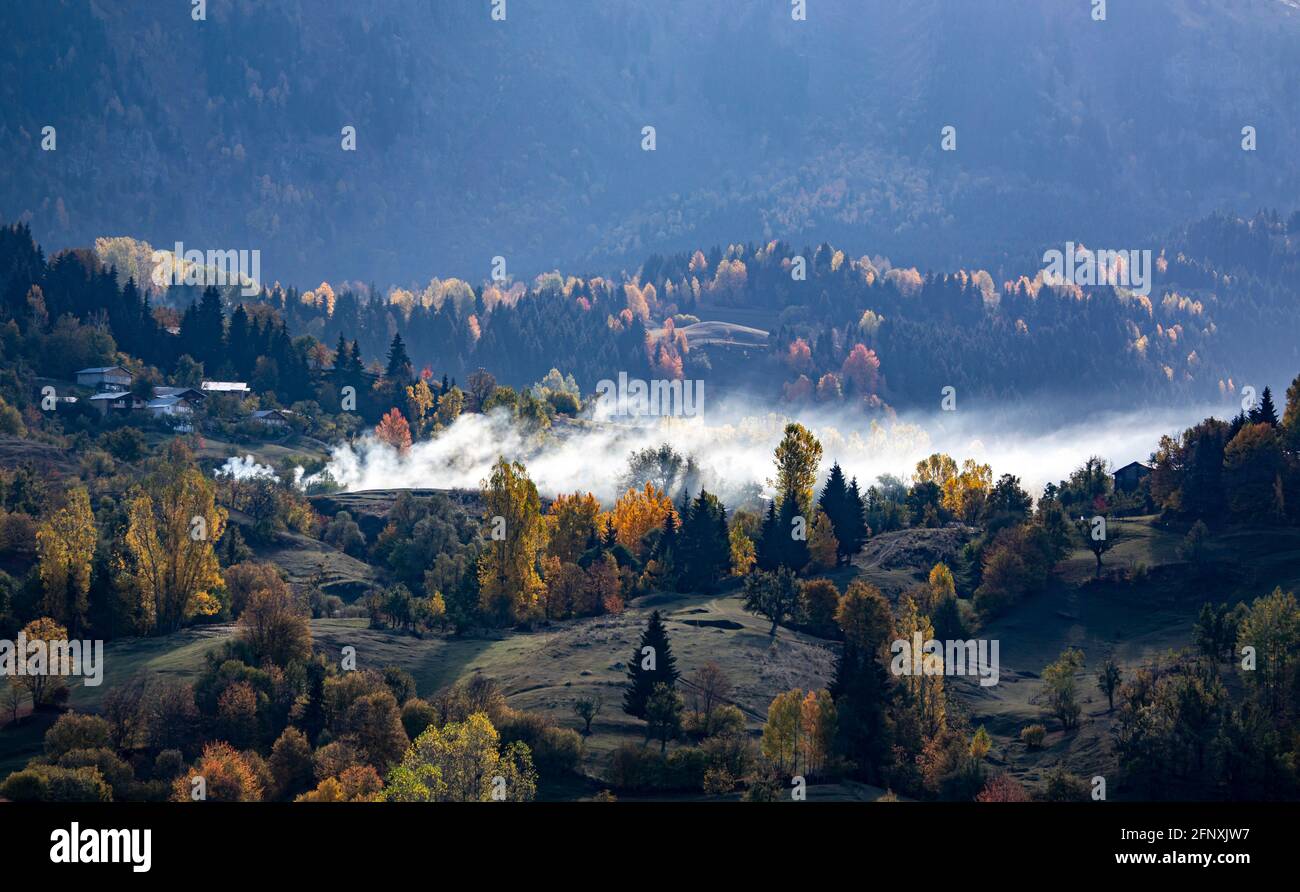 High quality spectacular photo of a valley full of trees, Turkey Stock ...