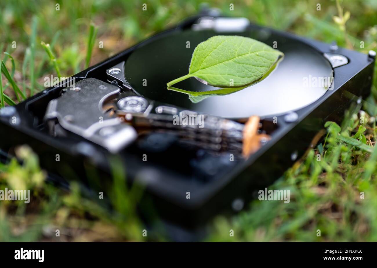 Cryptocurrency chia hard disk hi-res stock photography and images - Alamy