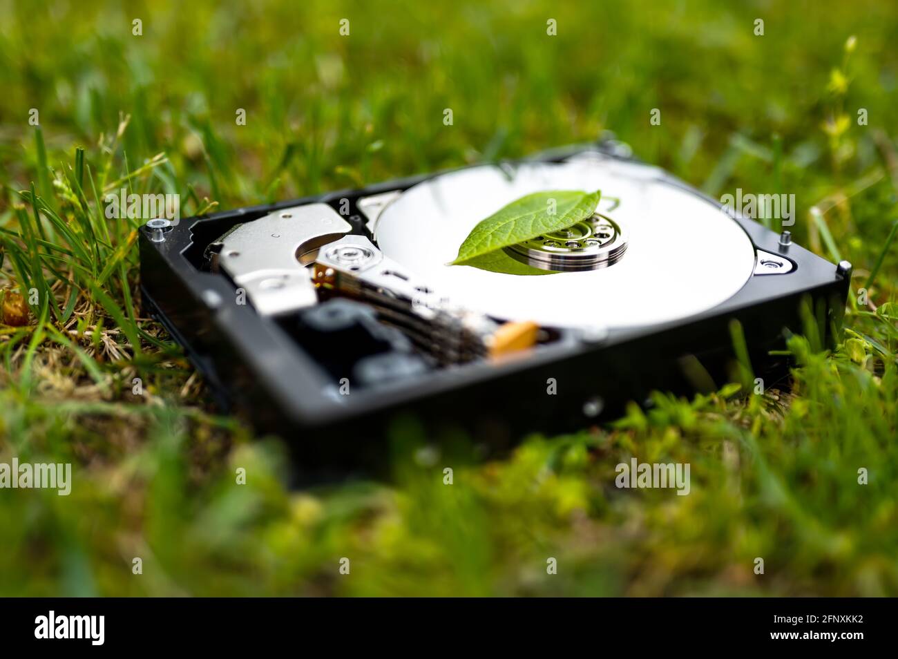 Cryptocurrency chia hard disk hi-res stock photography and images - Alamy
