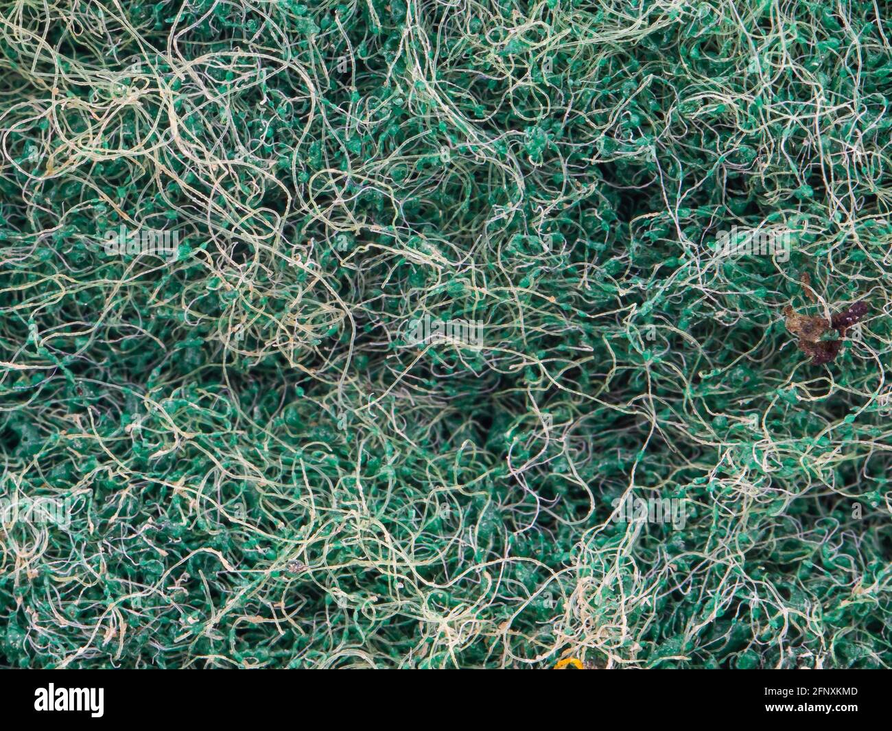 Artificial sponge structure hi-res stock photography and images - Alamy