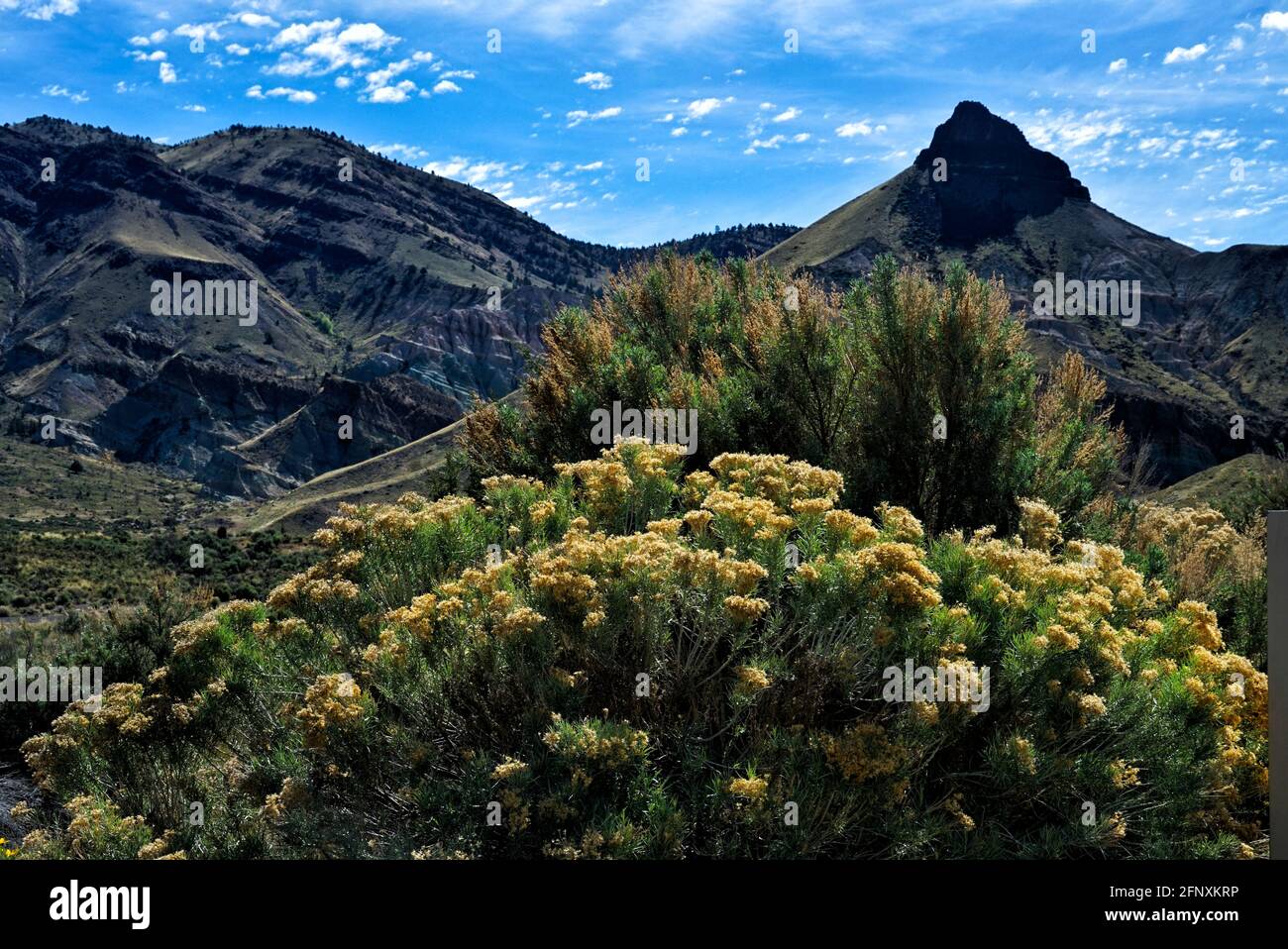 Sheep Rock Unit of John Day National Monument Stock Photo - Alamy