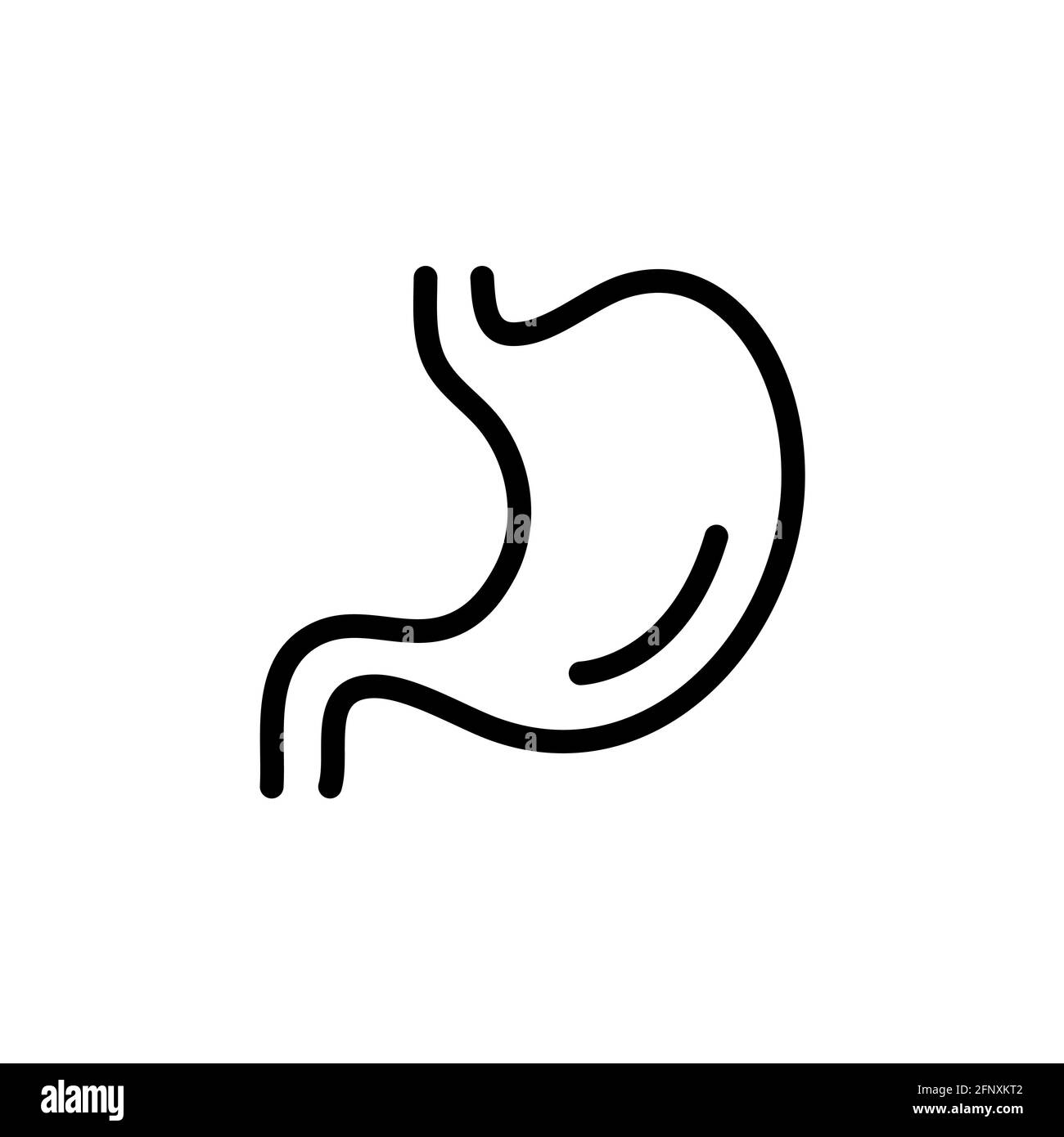 Stomach Line Icon Medical Outline Symbol Flat Line Stomach Gastric Icon Stock Vector Image