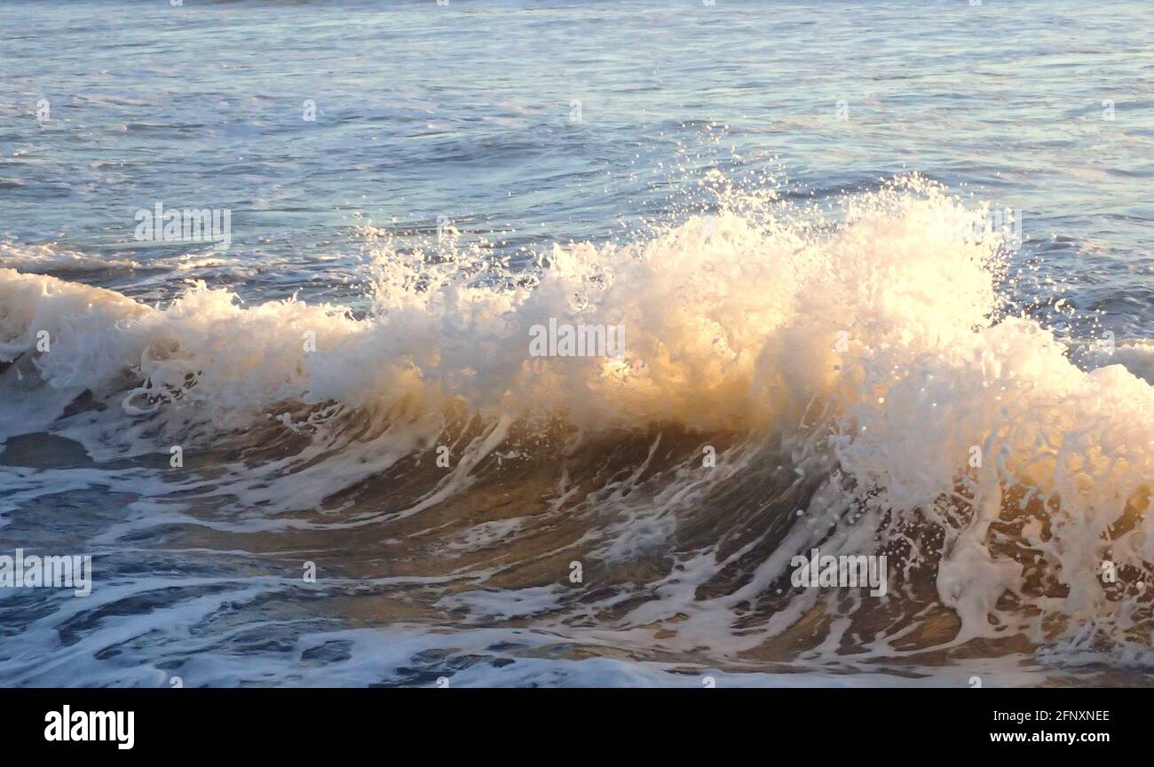 One sunlit wave at the coast, with backlit surf and brown backwash ...