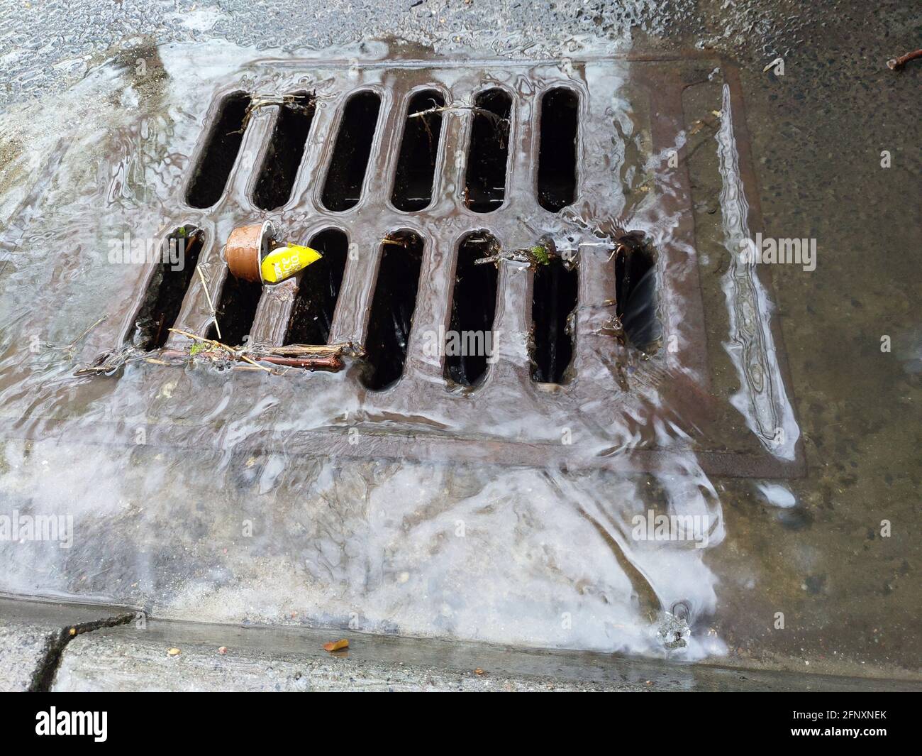Closeup of a storm drain in the ground with soap and water going down ...