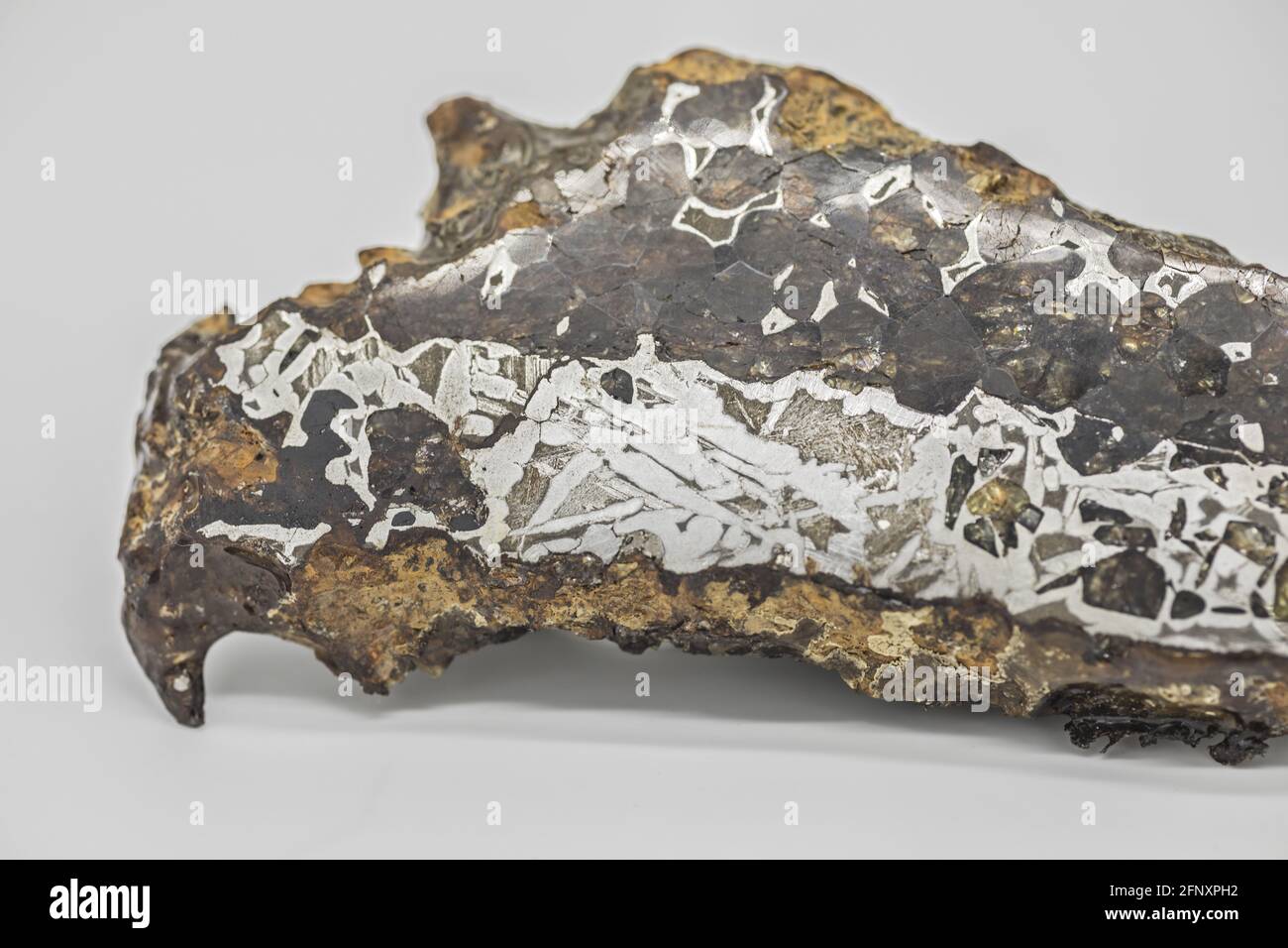 Meteorito Real I Cut Open REAL METEORITES To See What’s Inside..