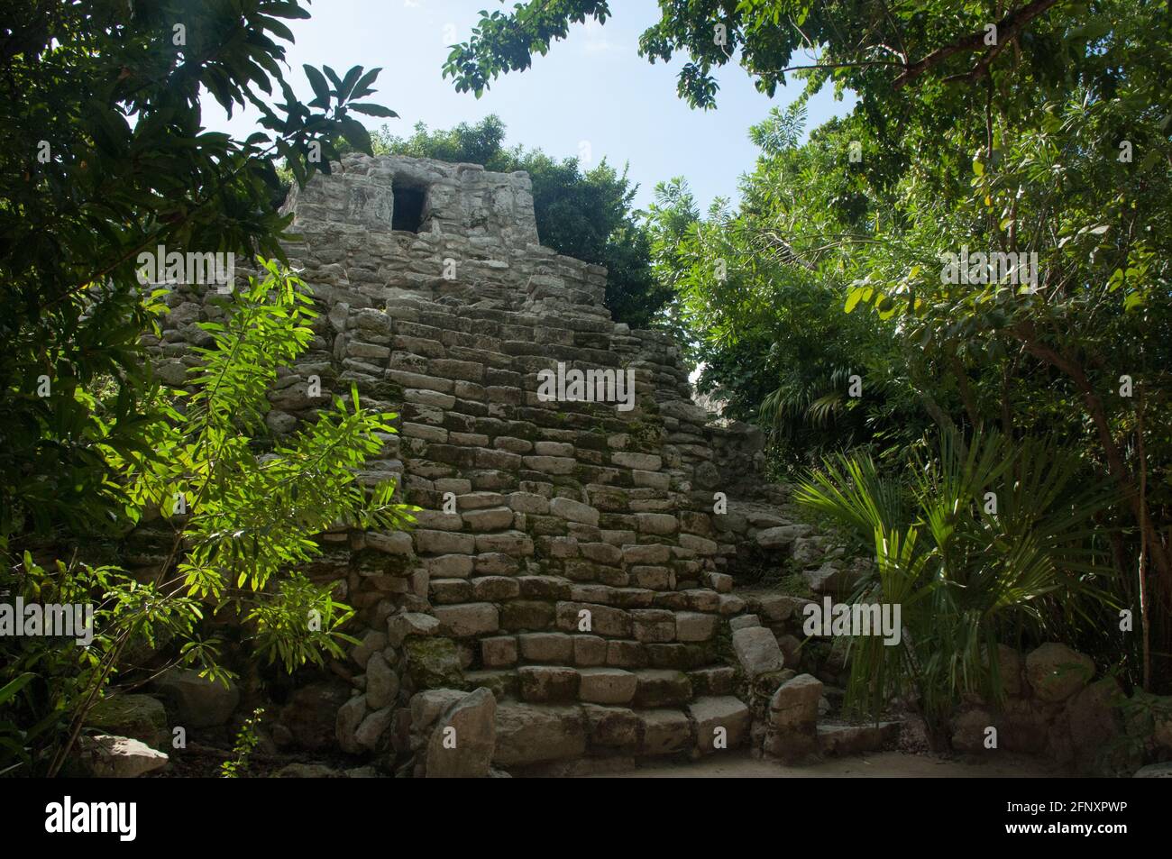 Mayan pyramid in the archaeological zone of Xelha Stock Photo - Alamy