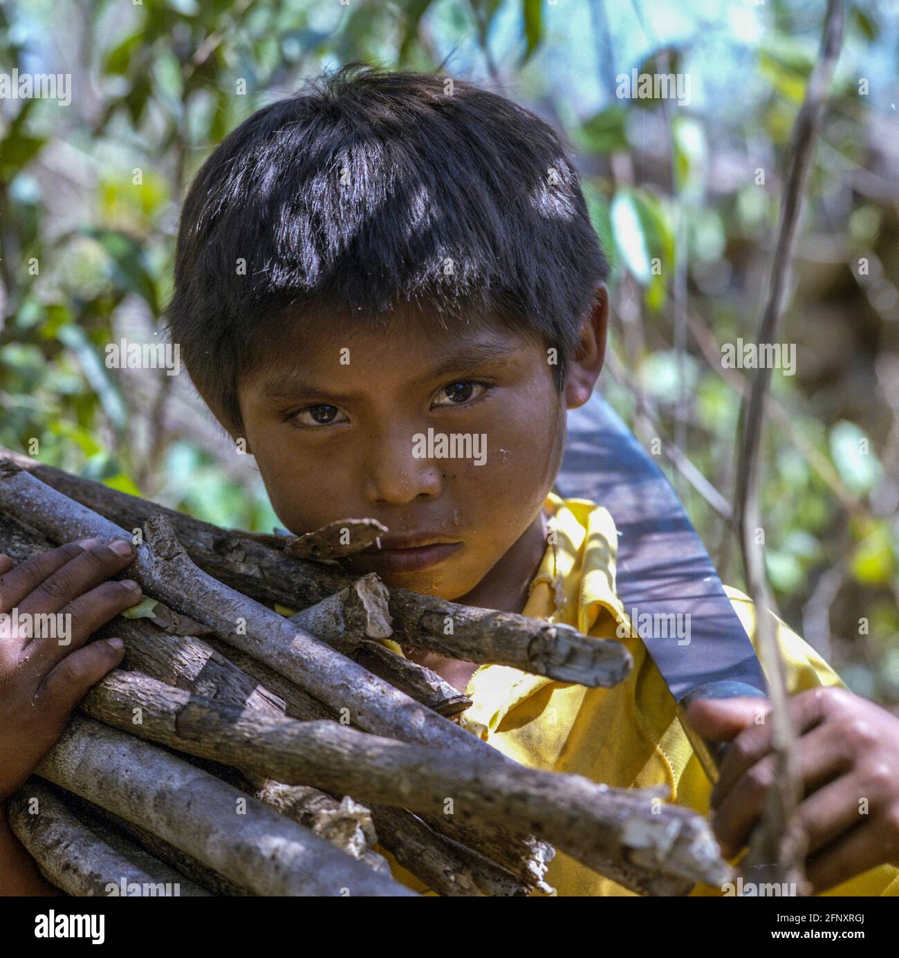 Mayan boy with machete and firewood Stock Photo - Alamy