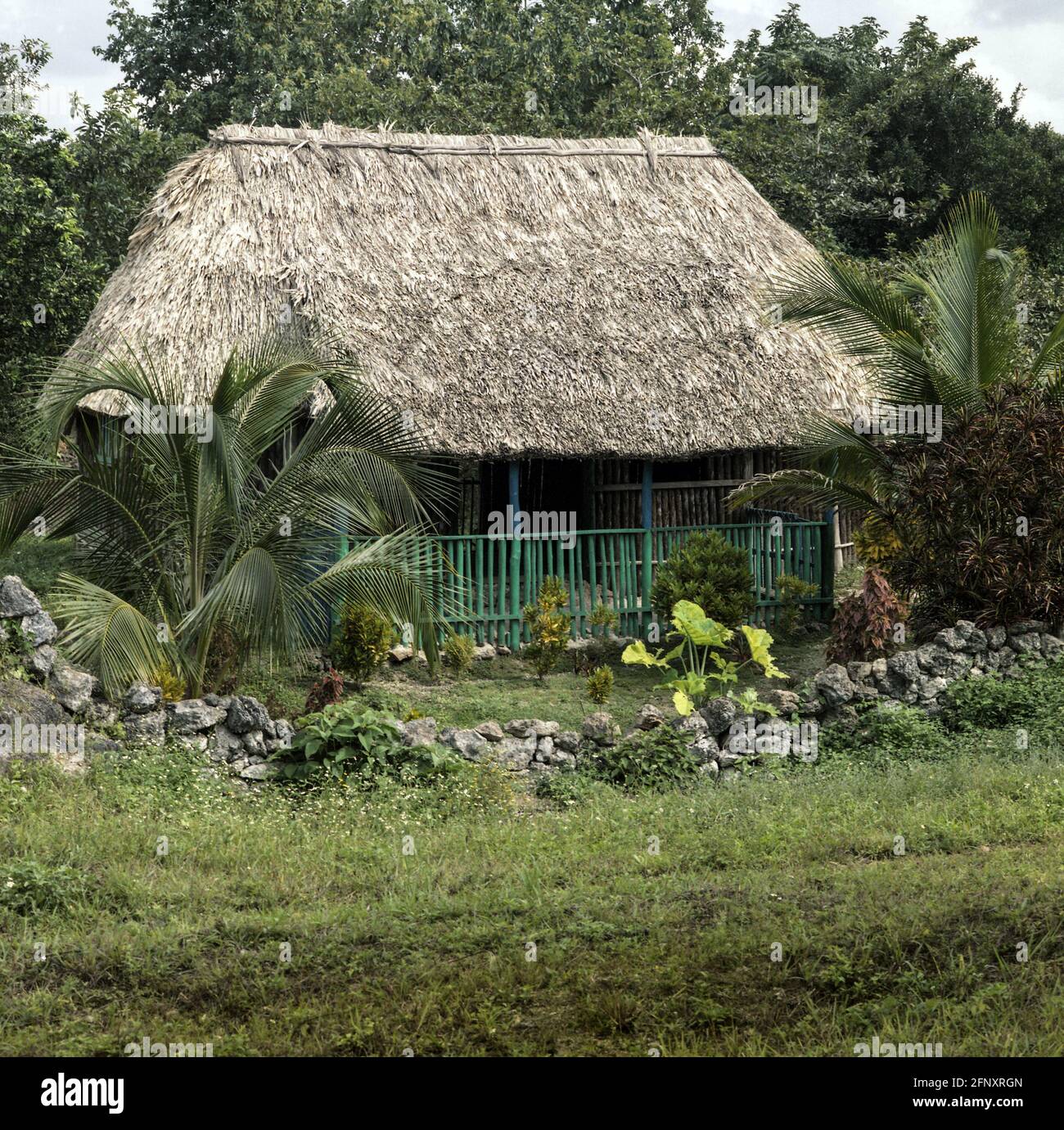 Mayan house hut Stock Photo - Alamy