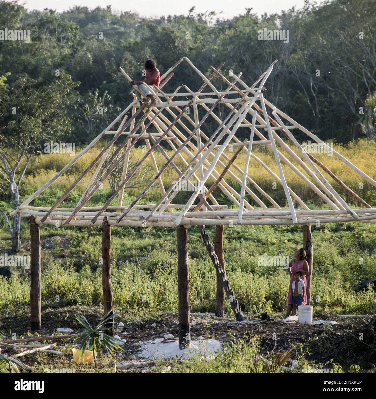 Mexico mayan dwelling hi-res stock photography and images - Alamy