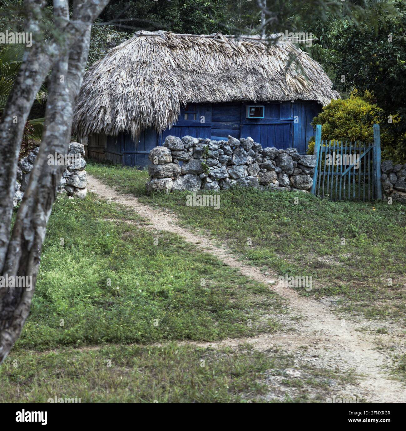Mayan house hut Stock Photo - Alamy