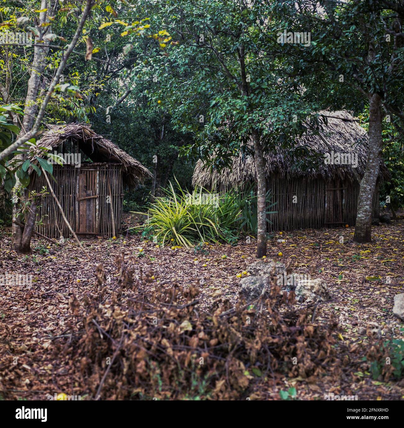 Mayan house hut Stock Photo - Alamy