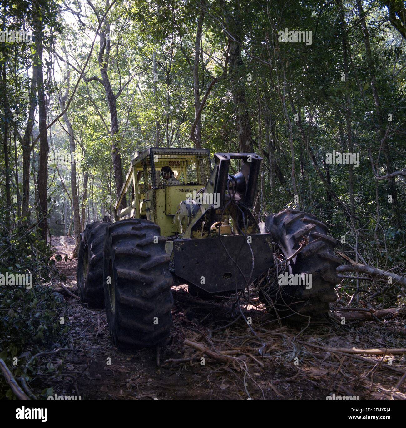 Bulldozer in the jungle Stock Photo - Alamy