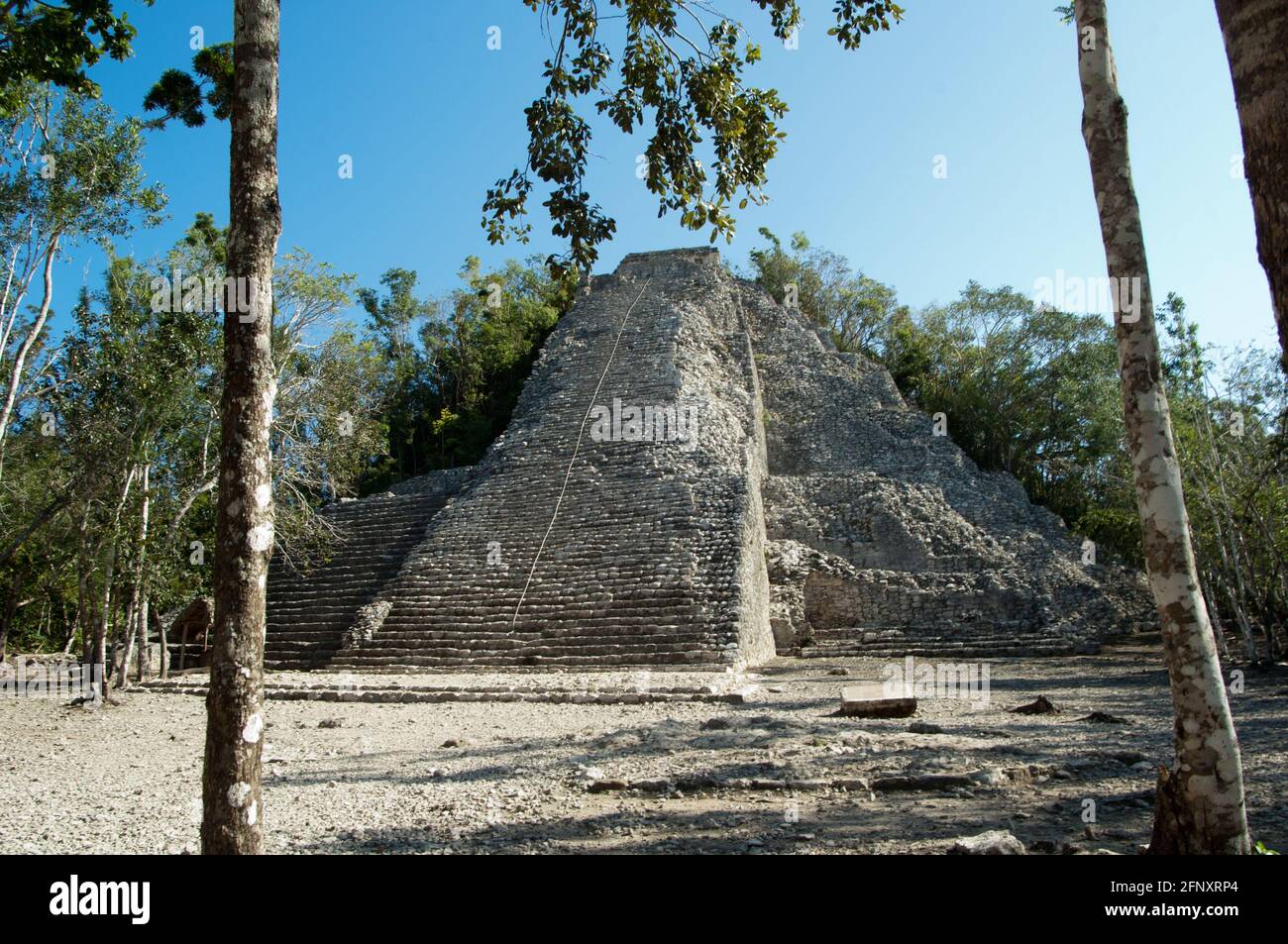 Nohoch Mul pyramid, Mayan archeological site Stock Photo - Alamy