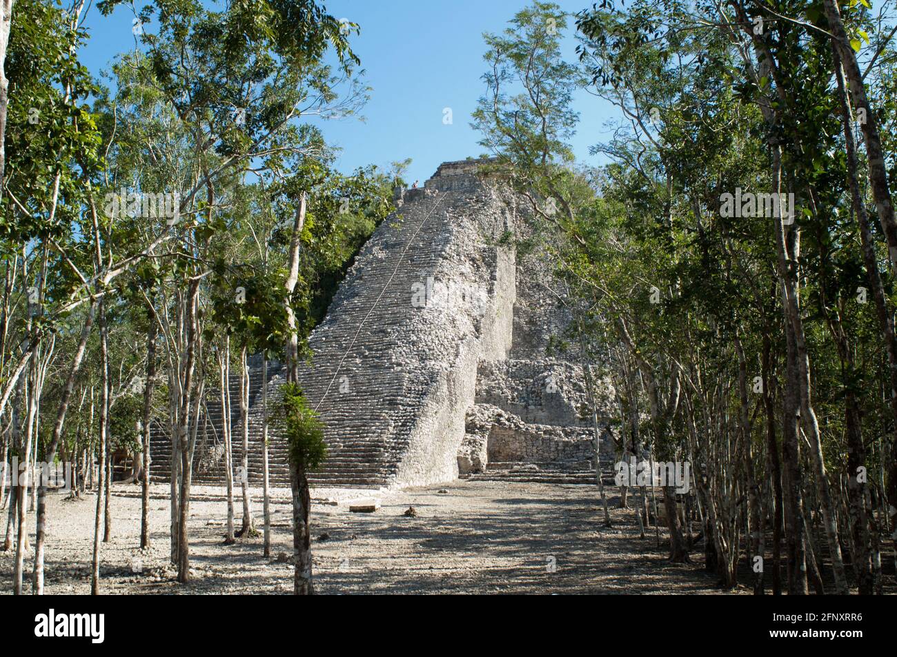 Nohoch Mul pyramid, Mayan archeological site Stock Photo - Alamy