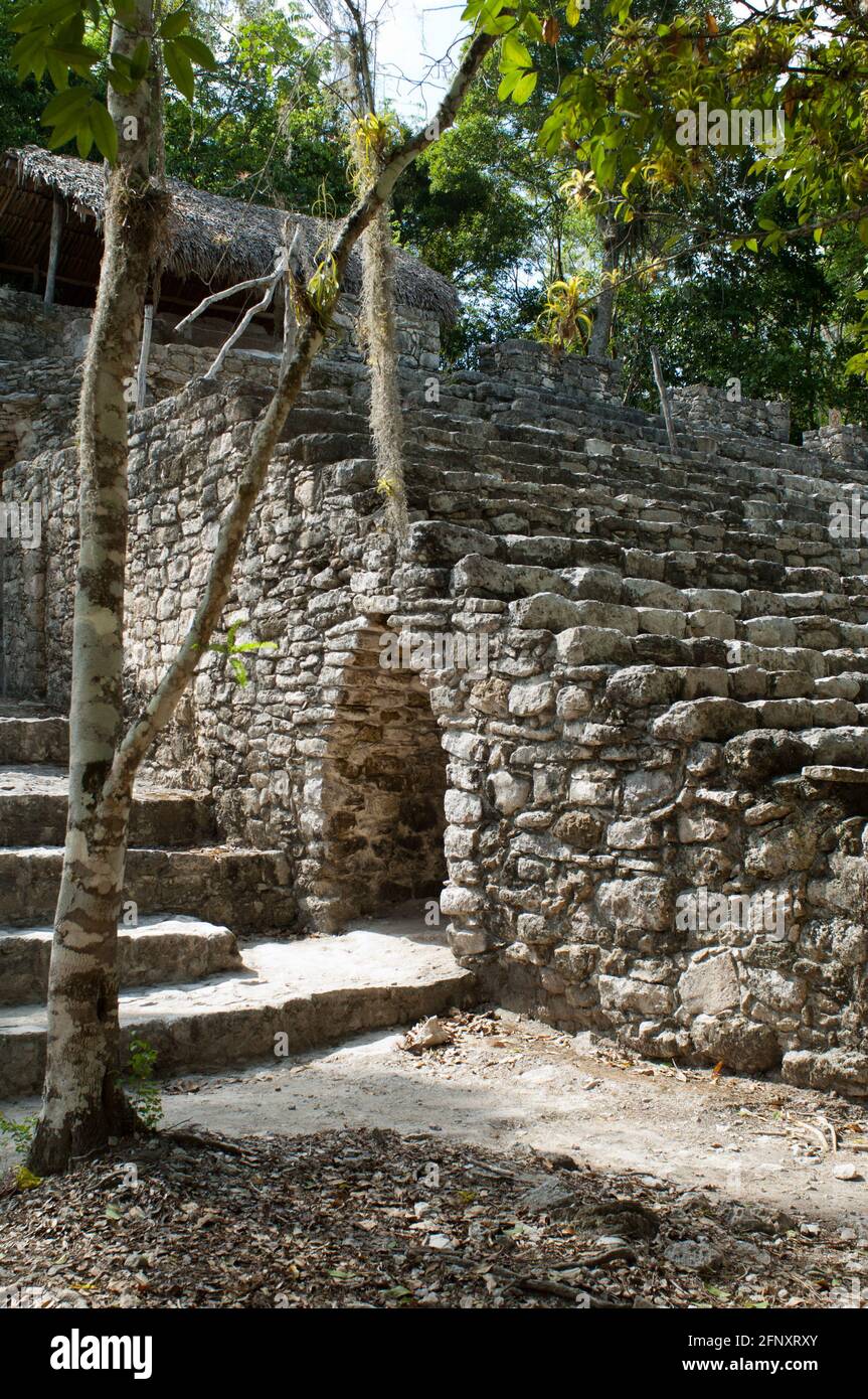 Tunnel with Mayan arch, Coba archaeological zone Stock Photo - Alamy