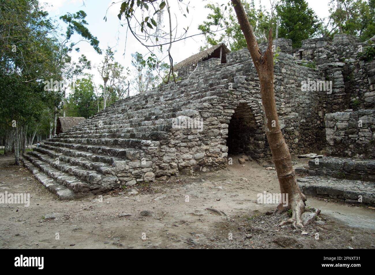 Tunnel with Mayan arch, Coba archaeological zone Stock Photo - Alamy