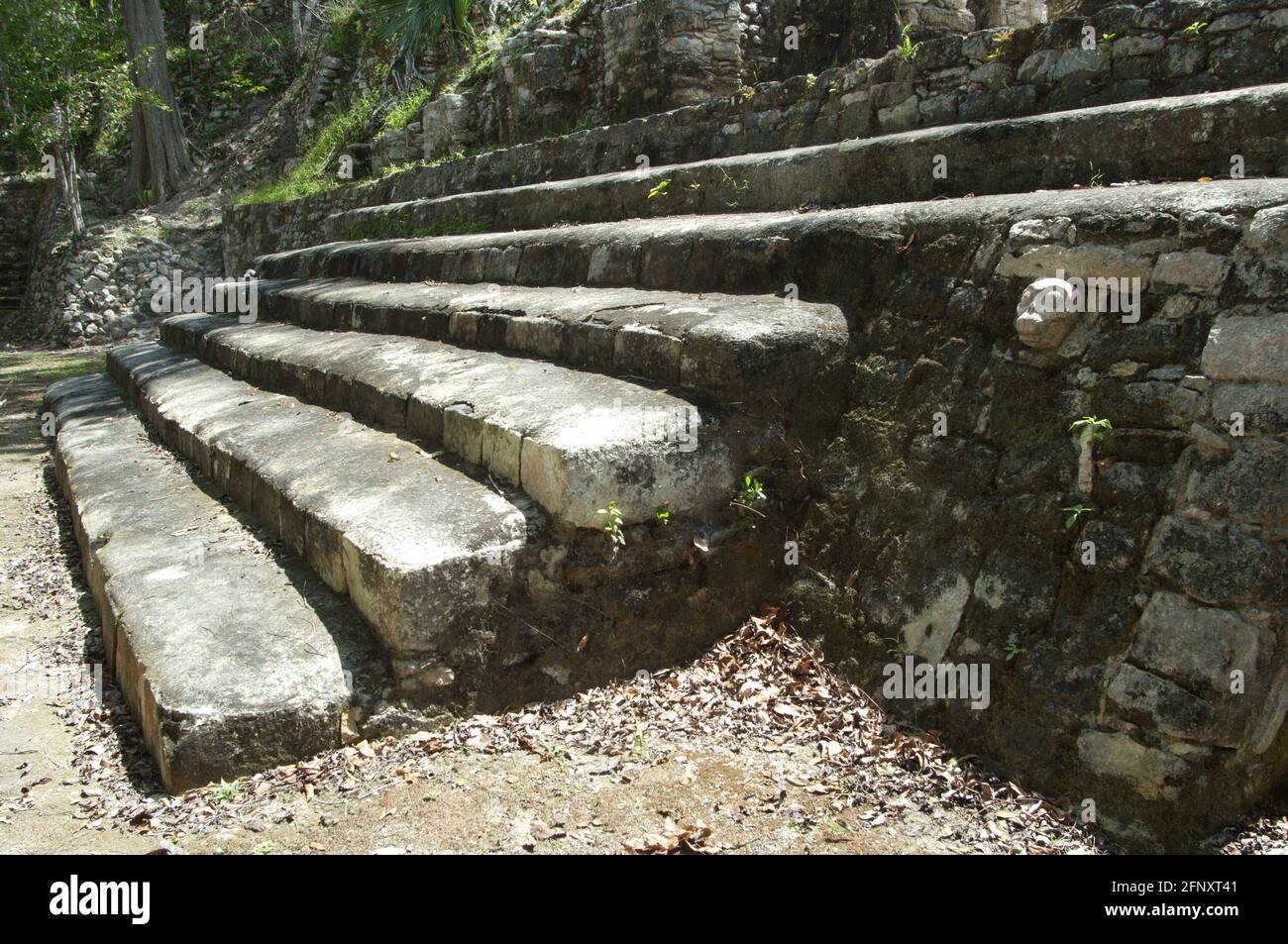 Stairway and pyramid in the Mayan archaeological site of Coban Stock ...