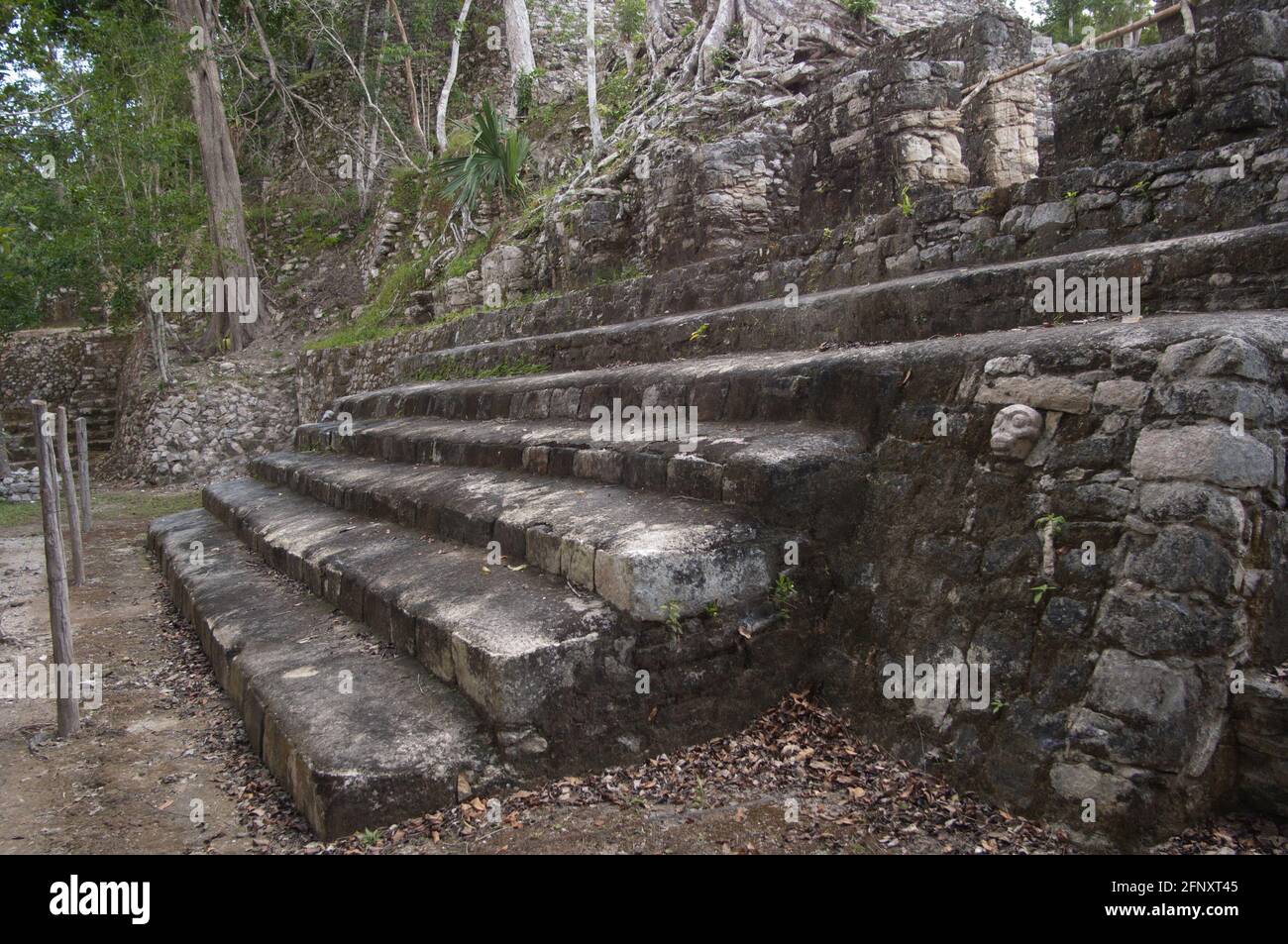 Stairway of a Mayan pyramid in the archaeological zone of Coba Stock ...