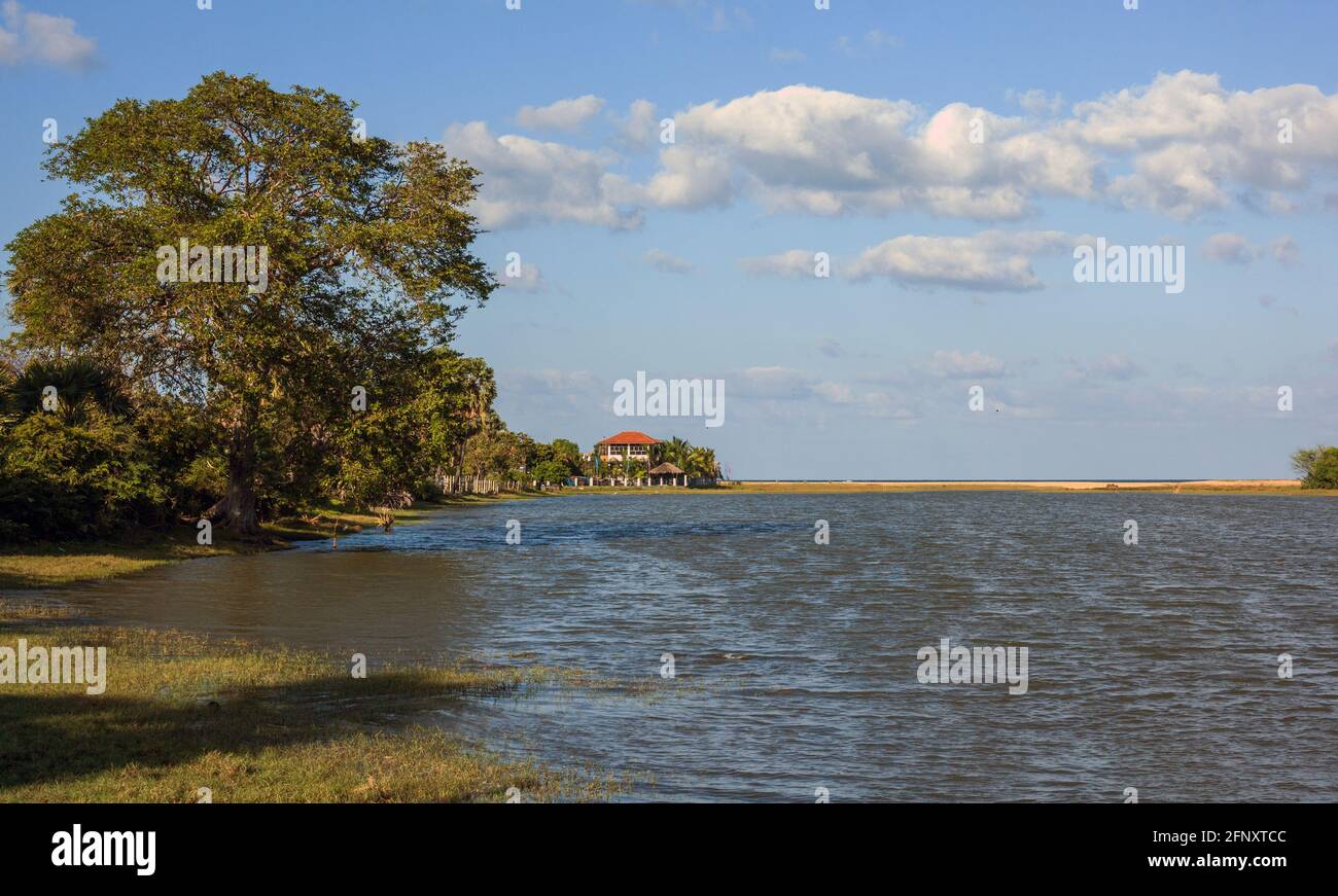Beautiful blue lake behind Mullaitivu Beach with trees and grass, Sri ...