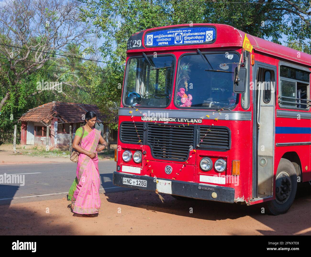 Sri Lankan female walks in front of red single decker bus before it ...