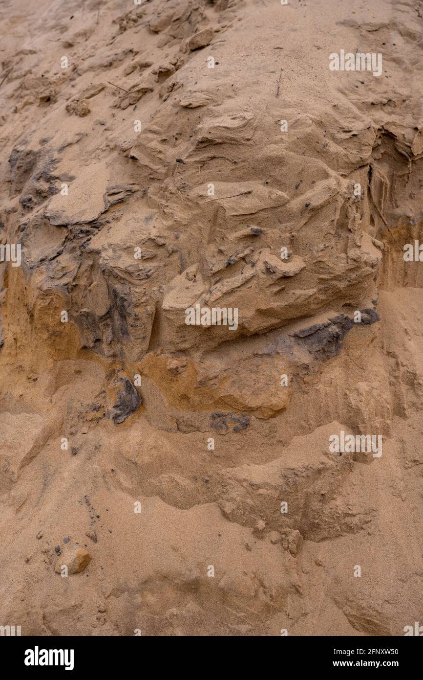 Eroding Sand Dune Close Up on cliff in Indiana Dunes national park ...