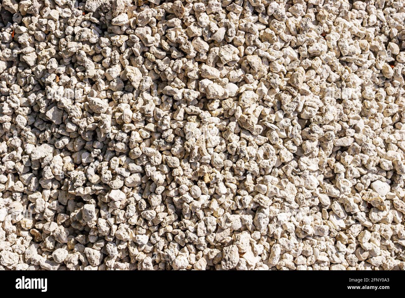 Miami Beach Florida,coral rock oolite building material detail,close up ...