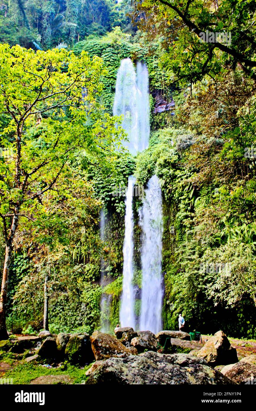A short trek through the jungle will take you to the waterfall called ...
