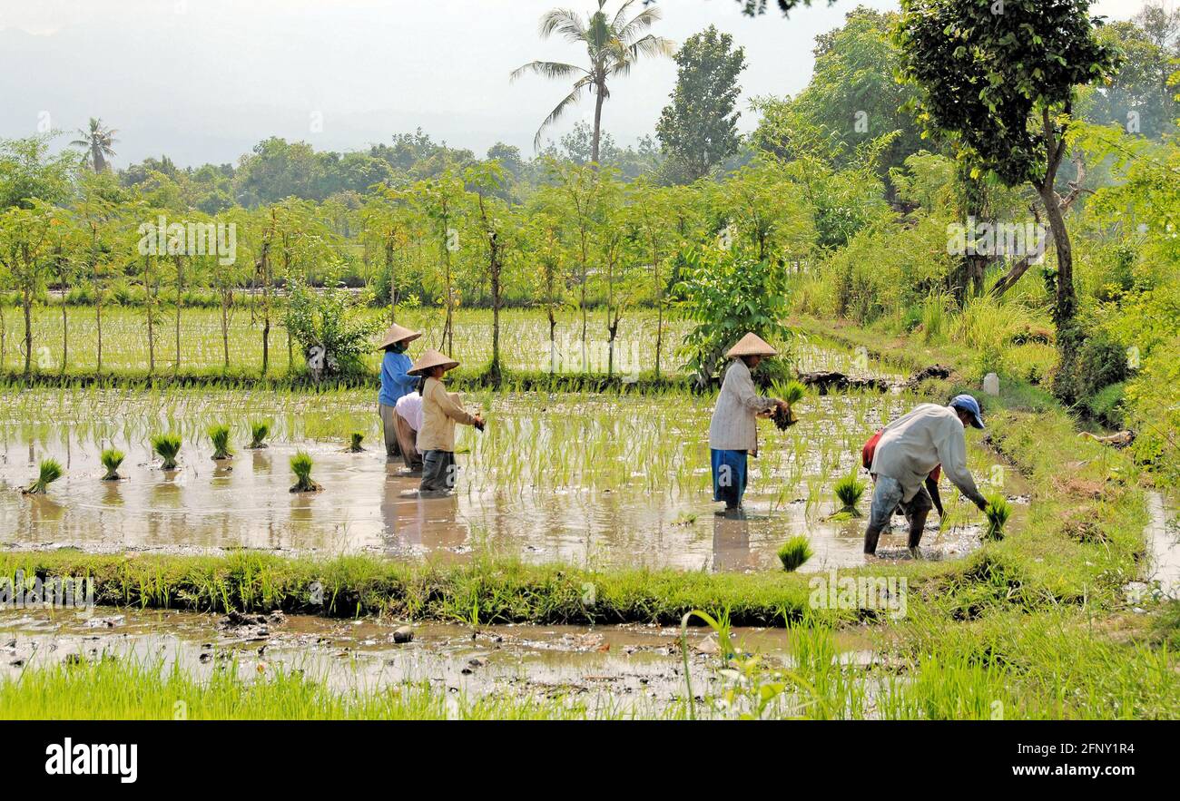 Strait of lombok in western side hi-res stock photography and images ...