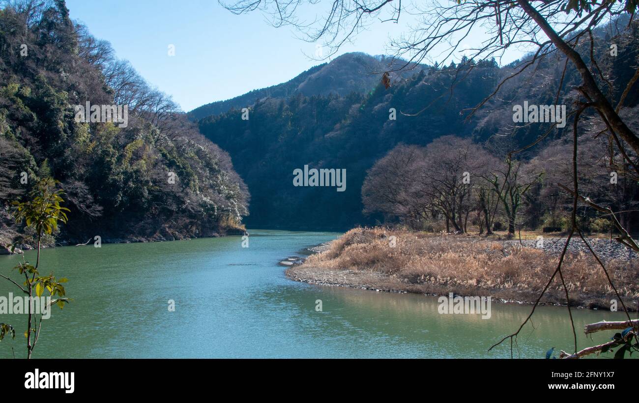 Susuki and japan hi-res stock photography and images - Alamy