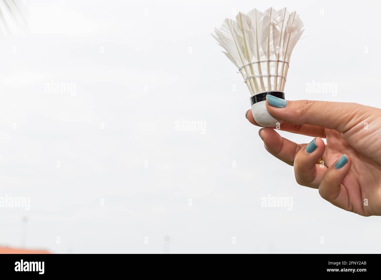 Female hand hold shuttlecock ,Badminton ball on white background Stock ...