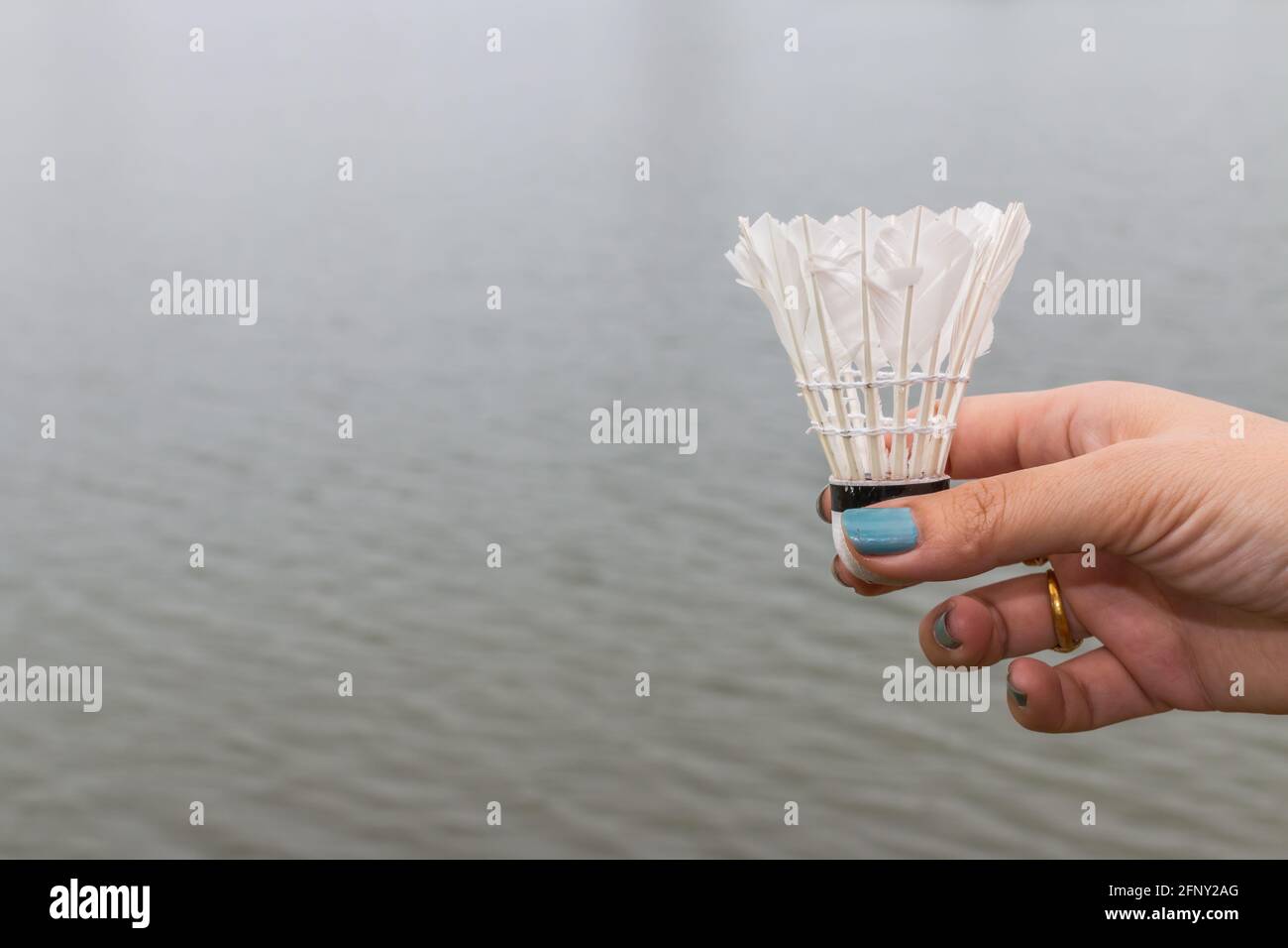 Female hand hold shuttlecock ,Badminton ball on water background Stock ...