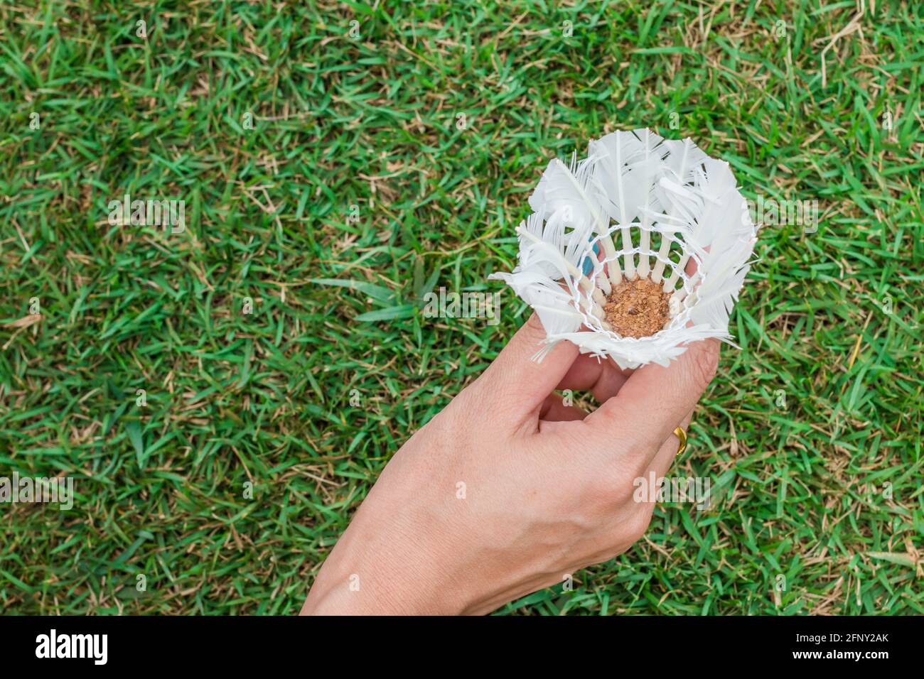 Female hand hold shuttlecock ,Badminton ball on green grass background ...