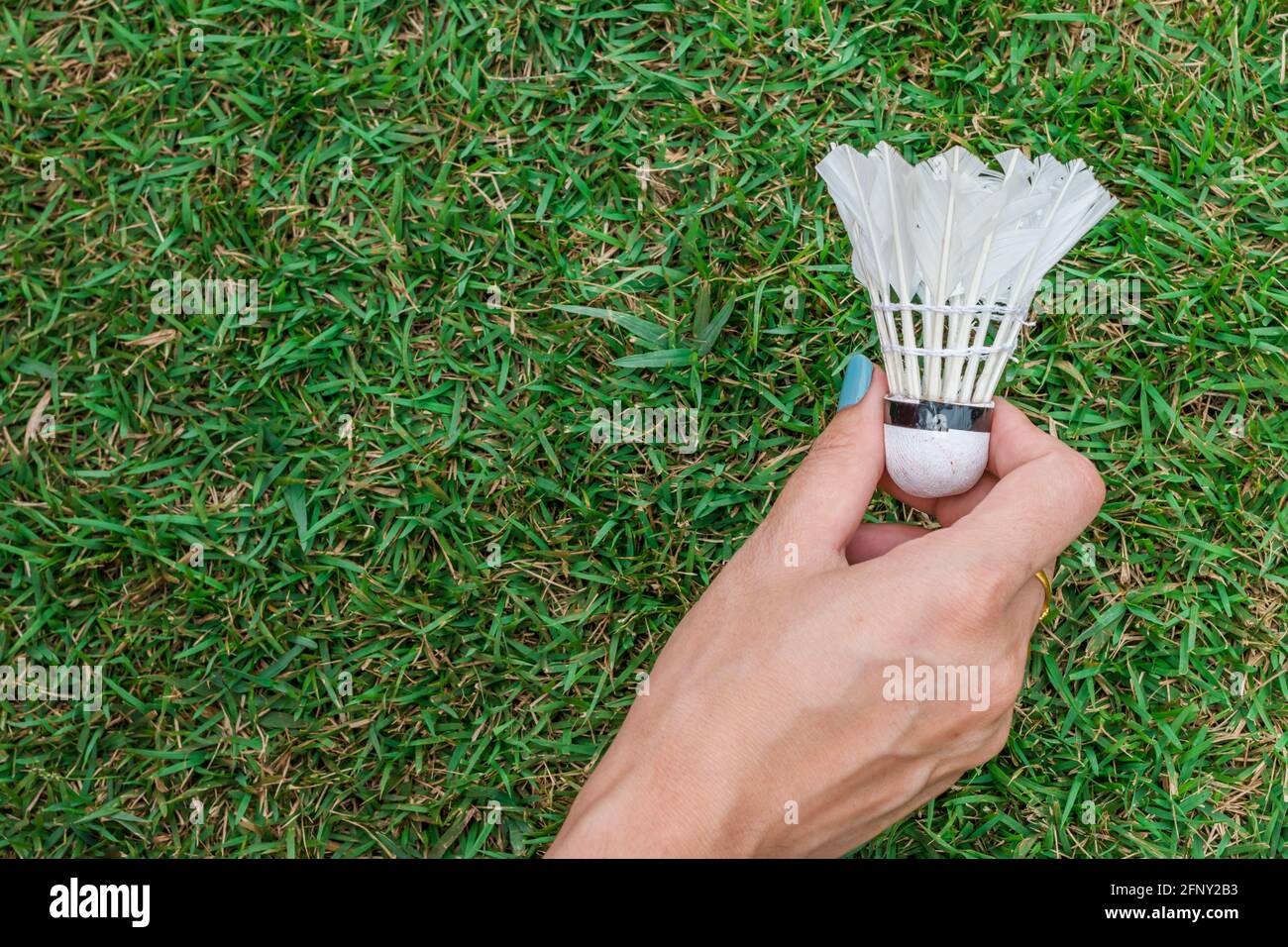 Female hand hold shuttlecock ,Badminton ball on green grass background ...