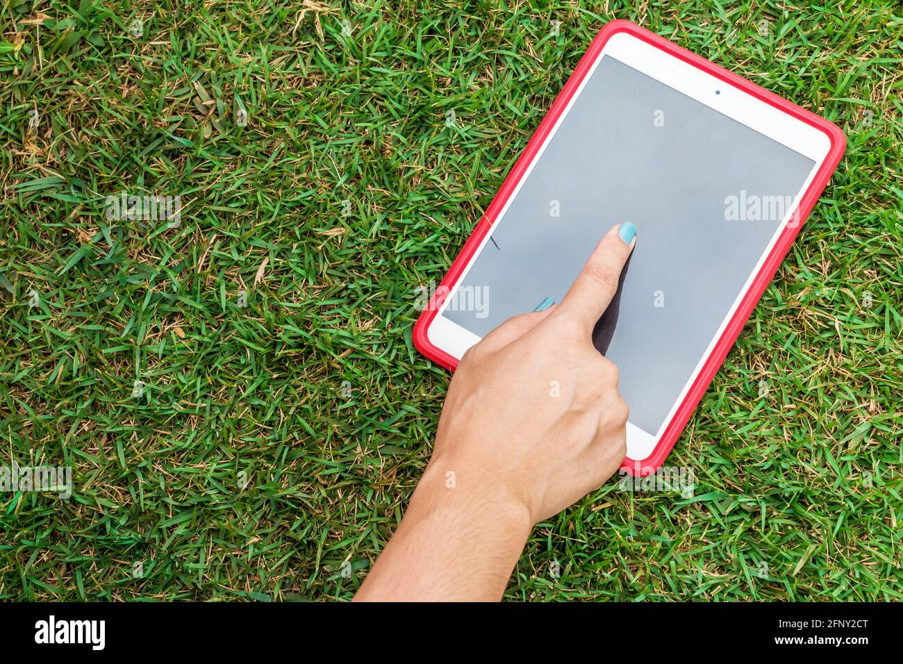 Taplet hi-res stock photography and images - Alamy