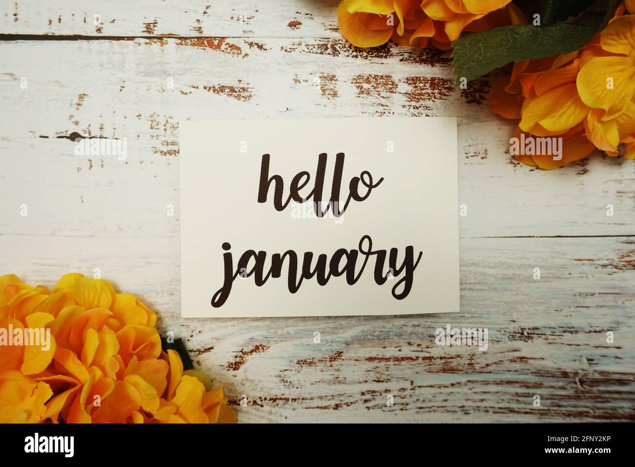 Flower banner hi hi-res stock photography and images - Alamy