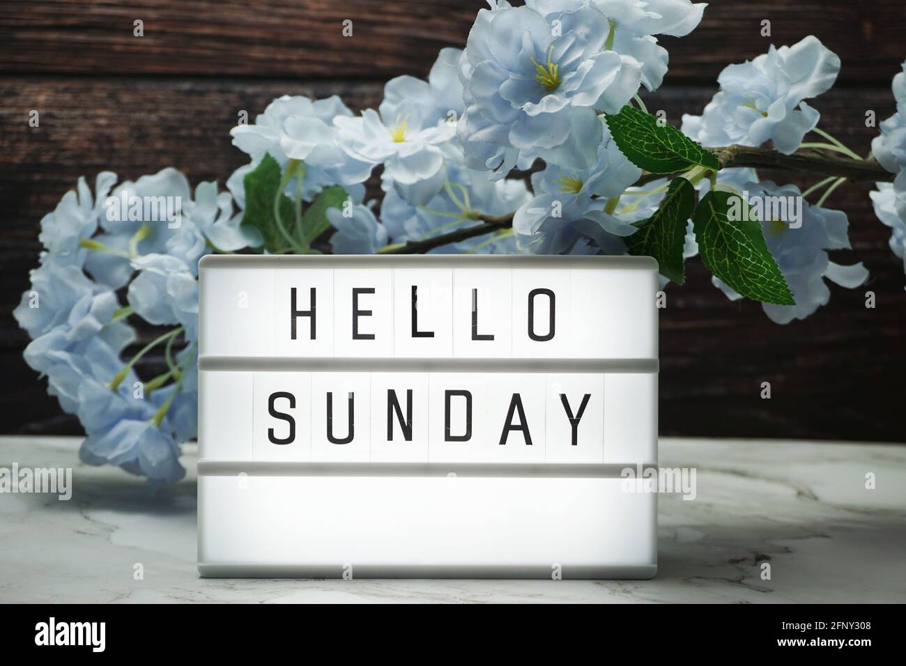 Saying hello with flowers hi-res stock photography and images - Alamy