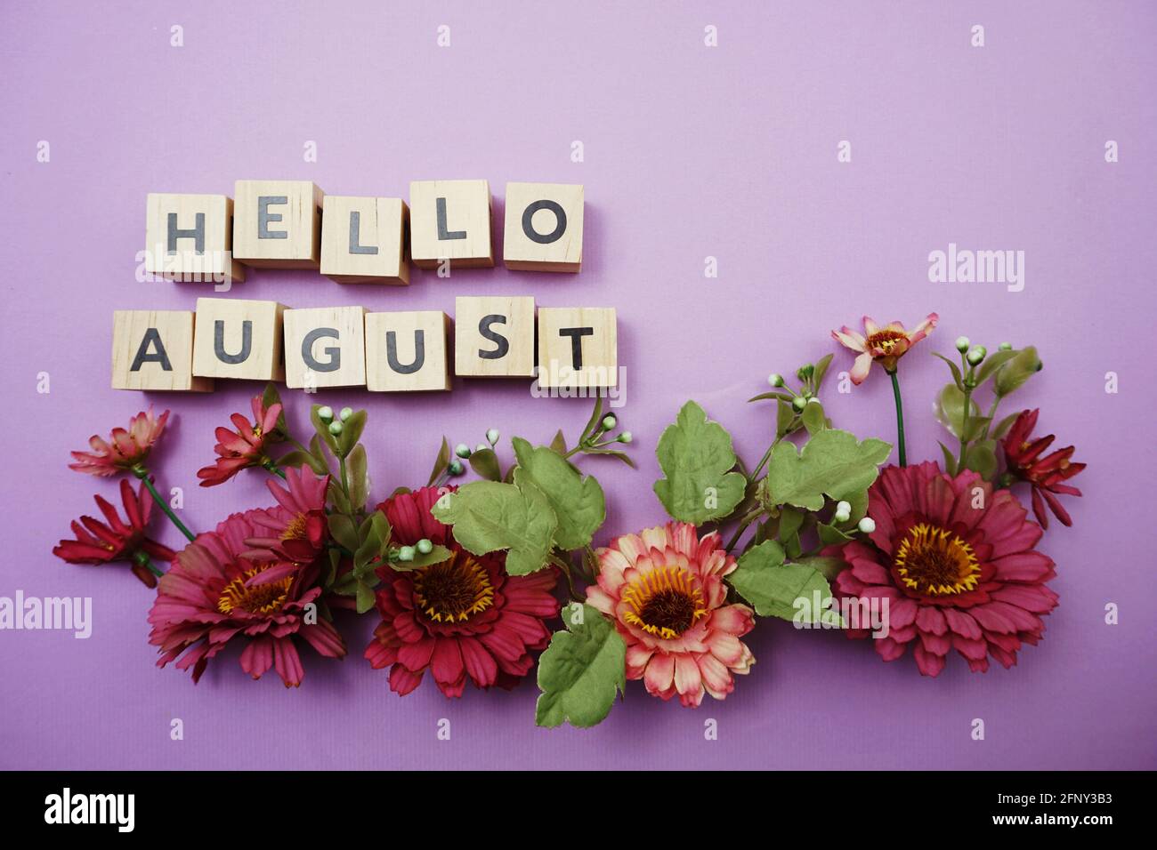 Hello August alphabet letters with pink flower decoration on purple ...