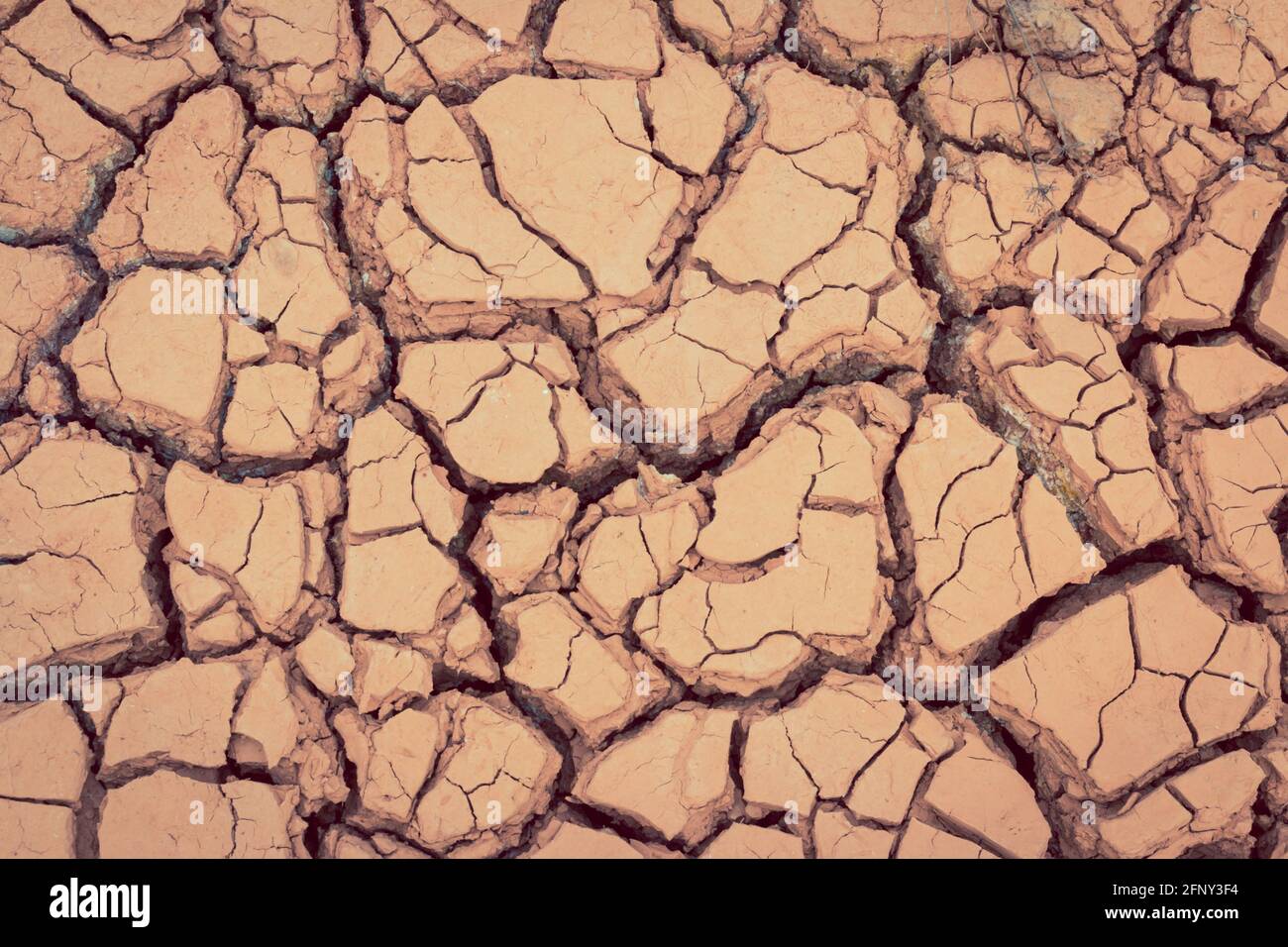 Crack earth/Crack soil on dry season/Global worming effect background ...