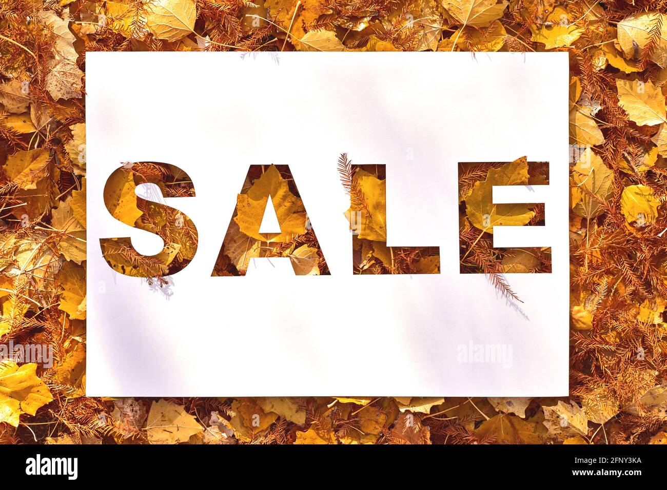 Sale text cut out on white paper card lying on background of autumn ...