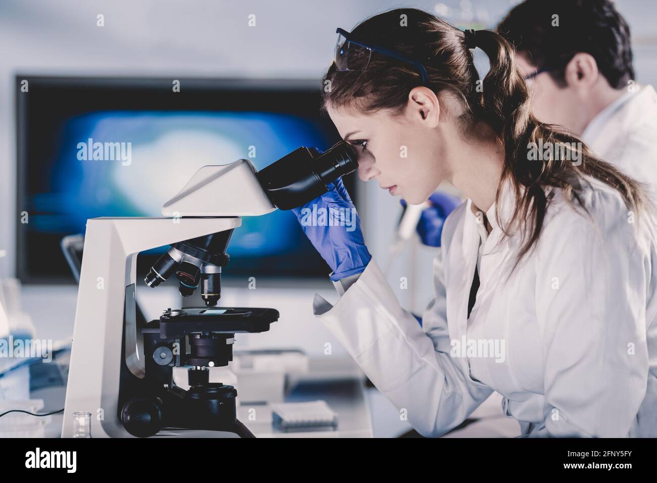 Life scientist researching in the laboratory Stock Photo - Alamy
