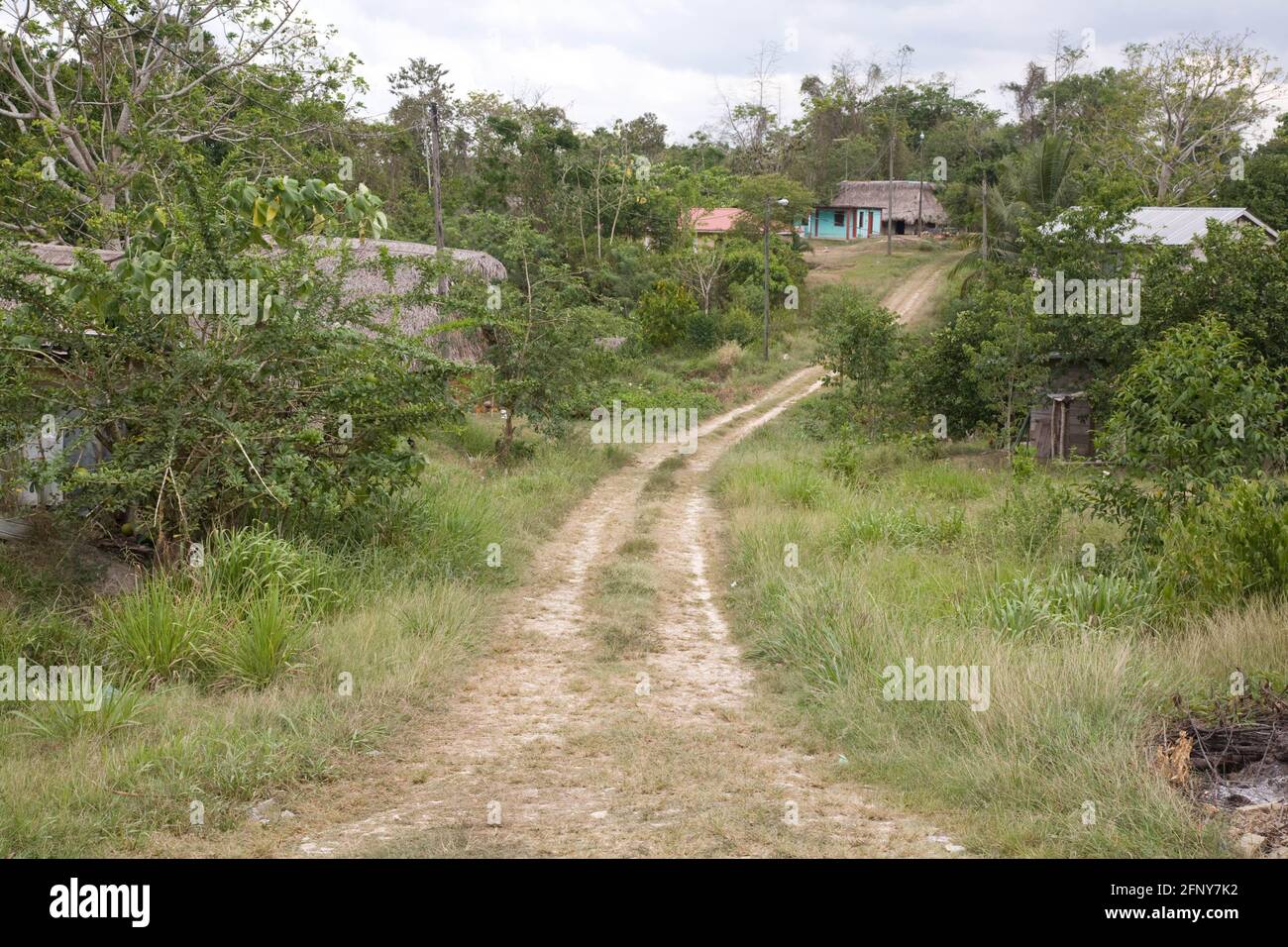 Dirt track between homes in the Mayan community of San Miguel, Toledo ...