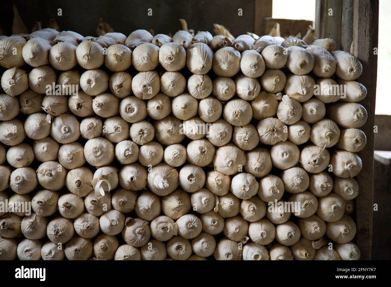 A year's supply of dried corn stacked in the corner of a home in the ...