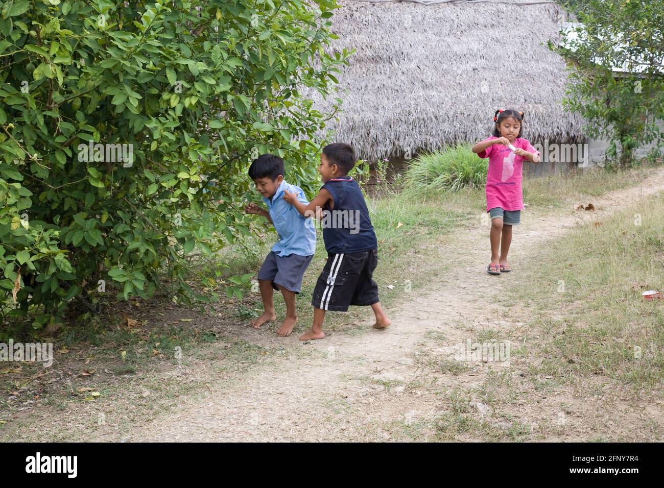 Children playing in the Mayan community of San Miguel, Toledo, Belize ...