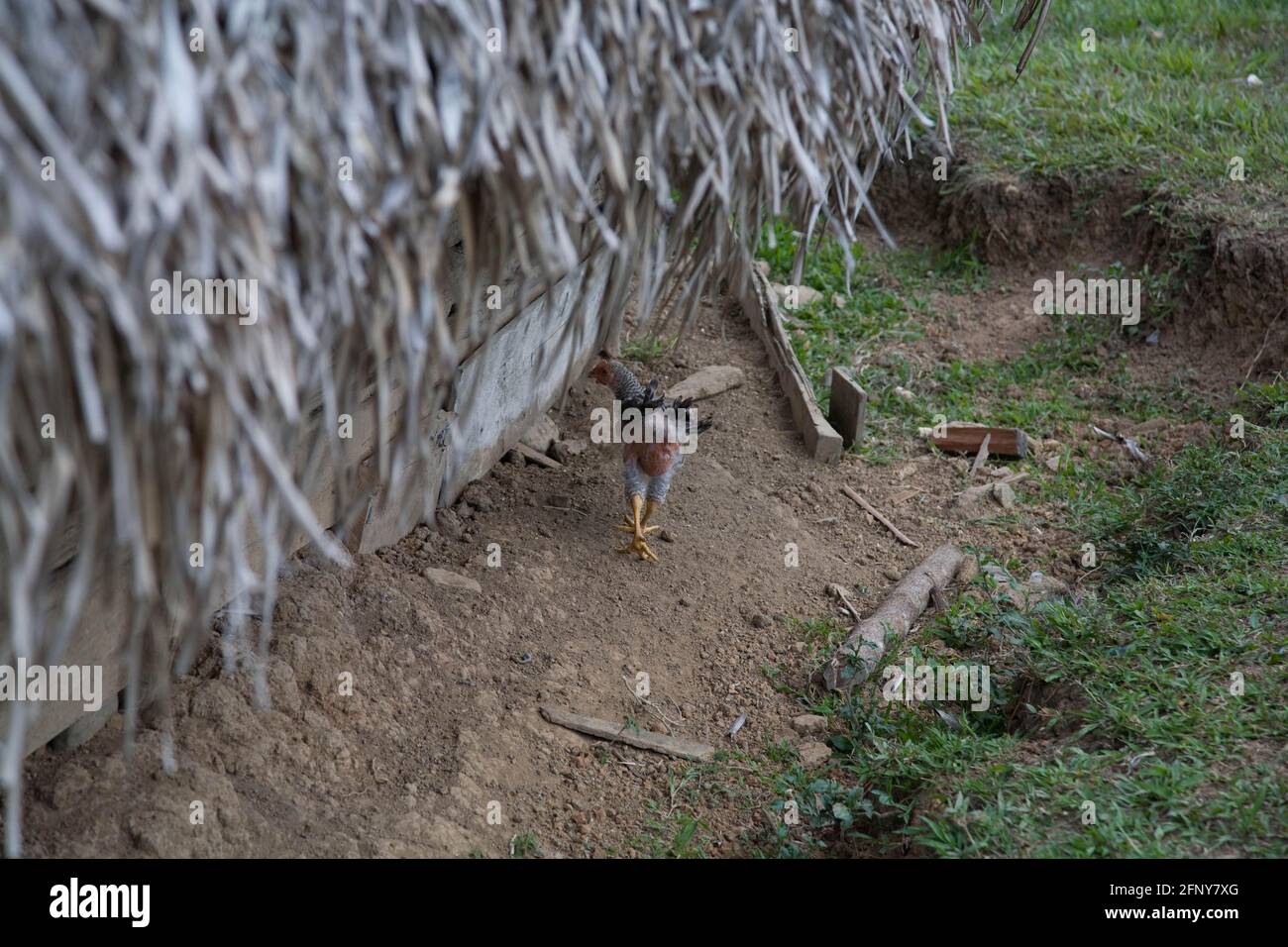 The Mayan community of San Miguel, Toledo, Belize Stock Photo - Alamy