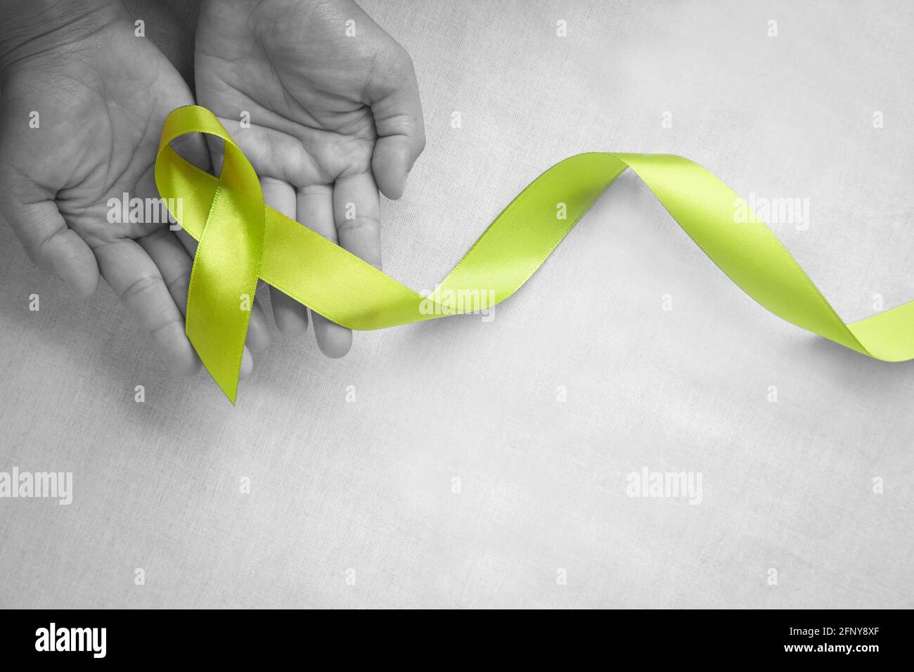Lymphoma Awareness Ribbon Color