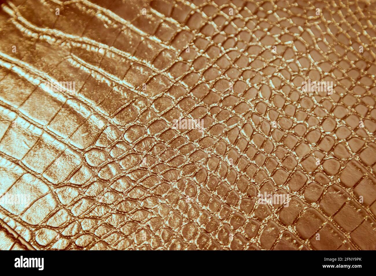 snake skin in black colour Stock Photo - Alamy