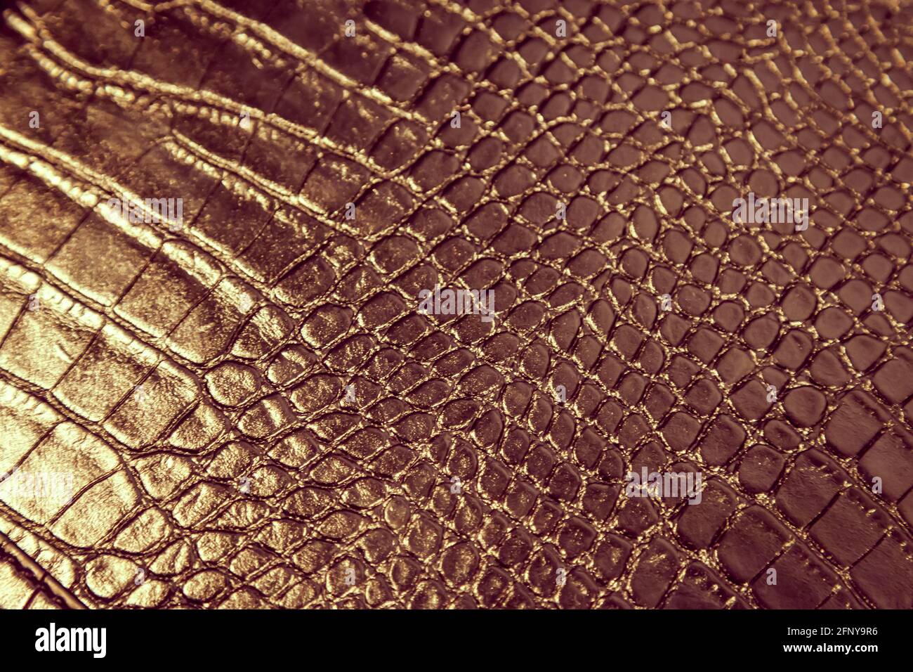 snake skin in black colour Stock Photo - Alamy